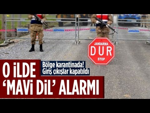 Mavi Dil hastalığı nedir? belirtileri neler?