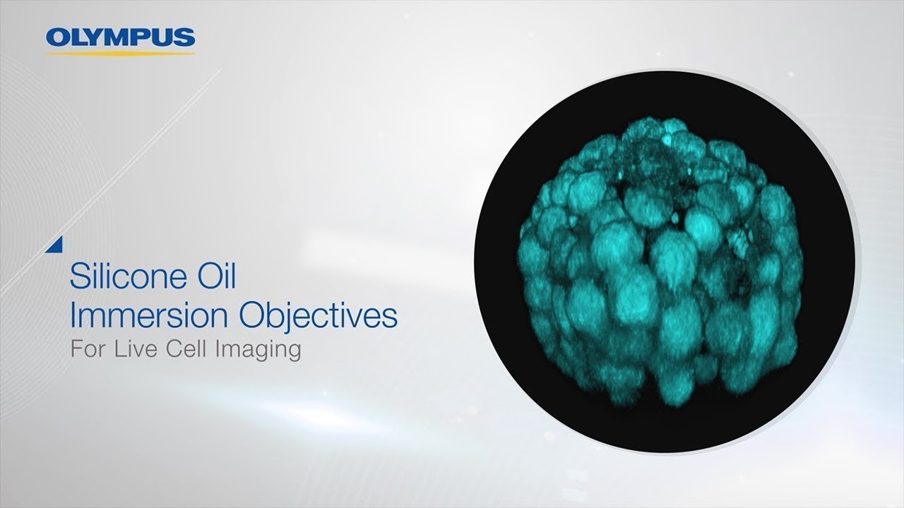 Silicone Oil Immersion Objectives: For Live Cell Imaging - YouTube