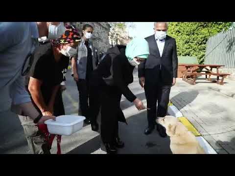 TAŞLARA OTURUP CANLARI SEVDİGİ AN KALBİMİZİ FETHETTİ!
