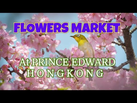 FLOWERS MARKET @ PRINCE EDWARD - YouTube