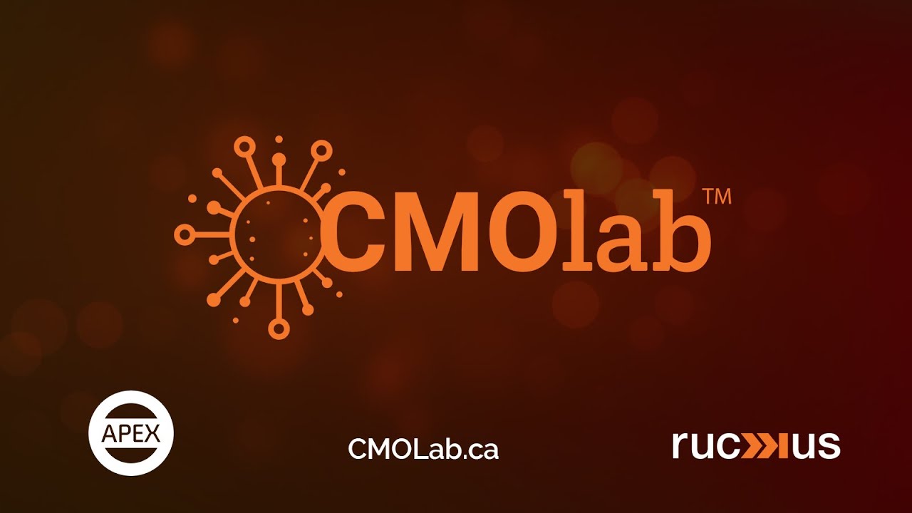 CMO Lab™ launch | Canadian CMO research on risks, challenges ...
