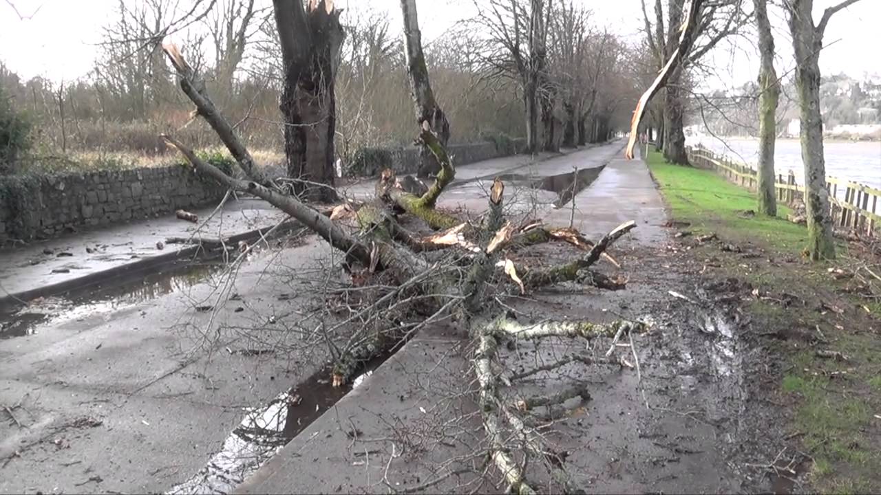 Massive Storm Damage in Cork - YouTube