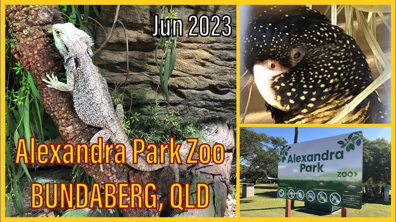 Free Zoo in the Park Bundaberg, Qld 2023 - YouTube