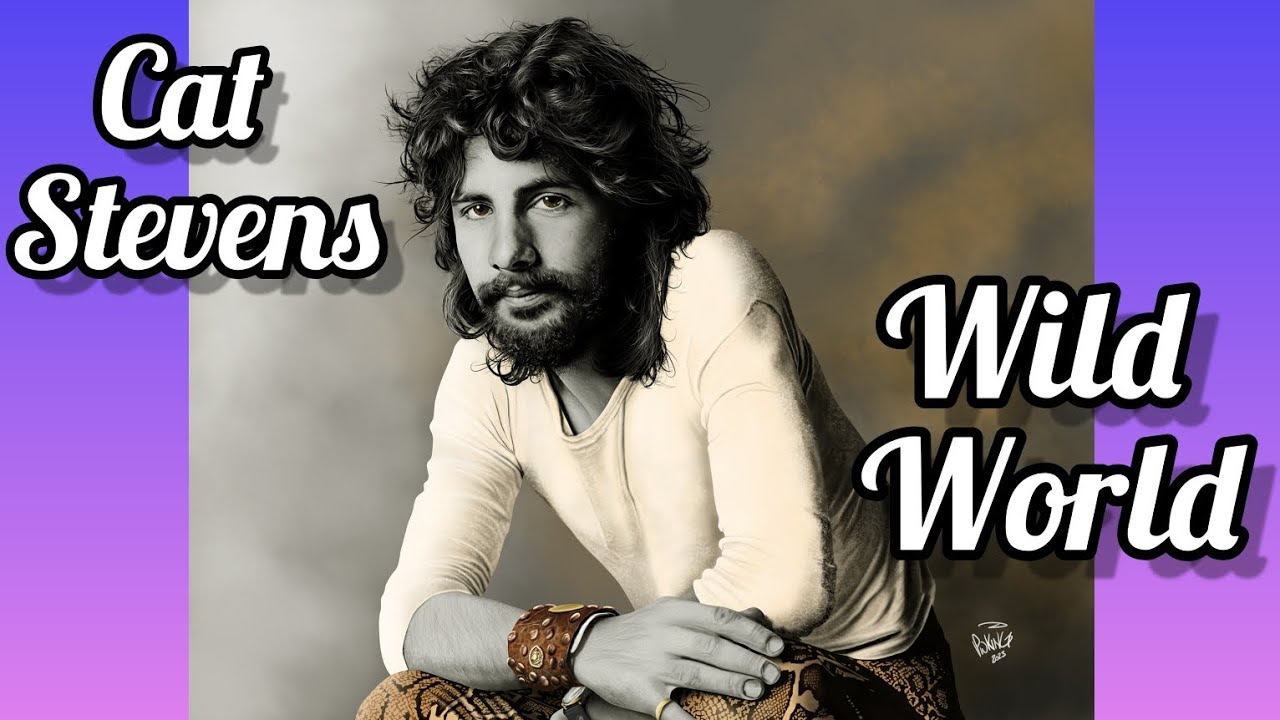 Cat Stevens Wild World - YouTube