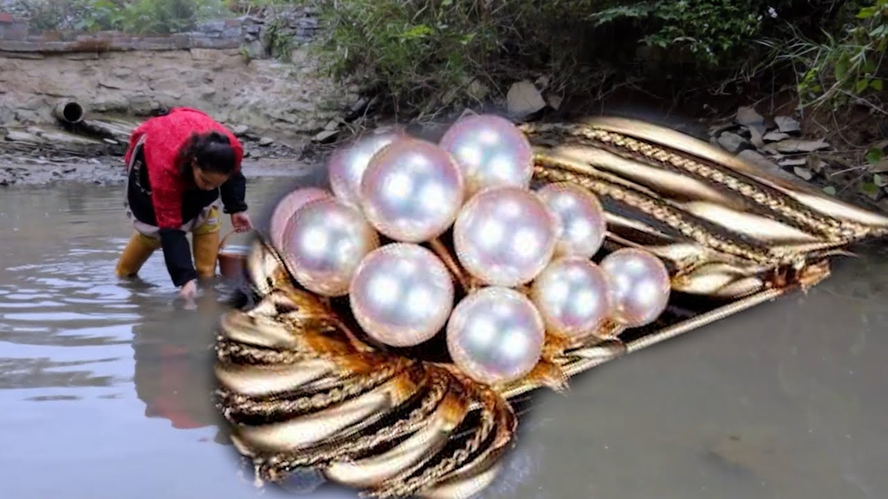 🎁 A clam growing in a muddy spring water, nurturing countless charming ...