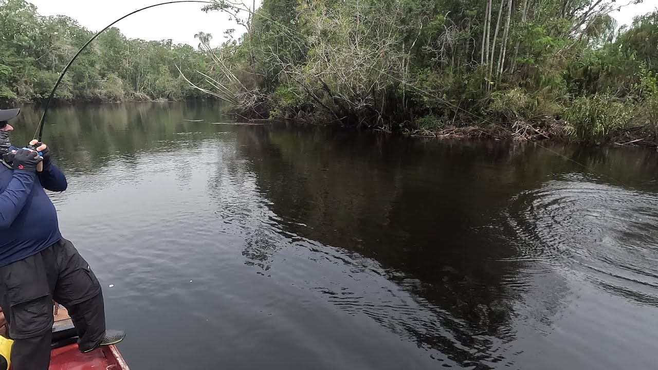 Pesca no Rio Cuiuni Barcelos Amazônia - Expedição Branco Açu, 2° dia ...