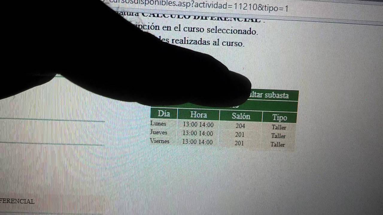 Subasta UABC - YouTube
