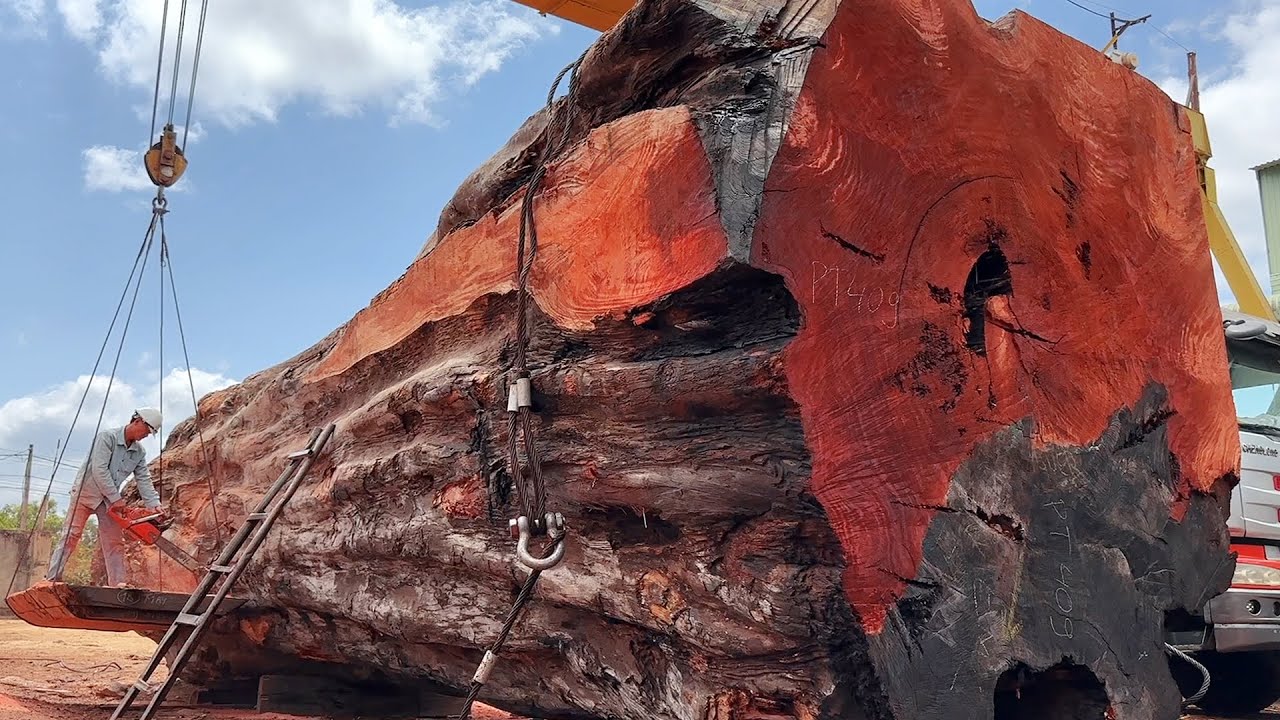 Giant Woodworking Project! Ancient Angel Oak Tree Cutting Process - YouTube