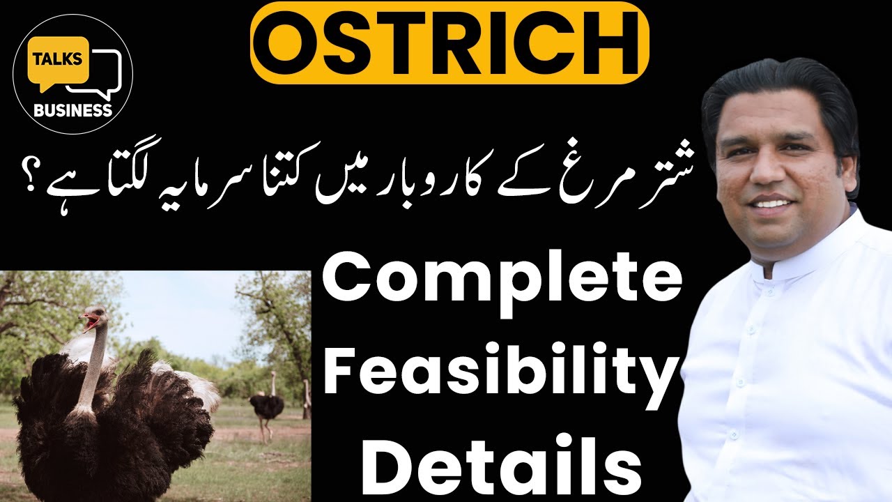 How to Start Ostrich Farming Business in Pakistan (Investment Details ...