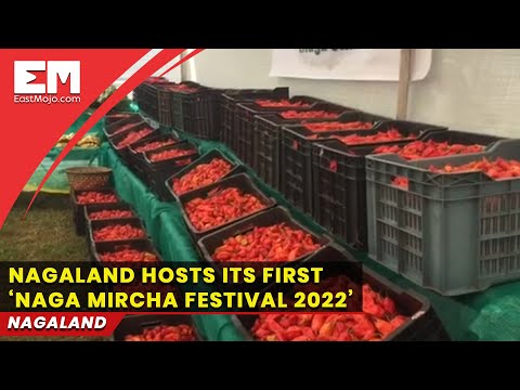 In Pics: First Naga Mircha festival held in Kohima district