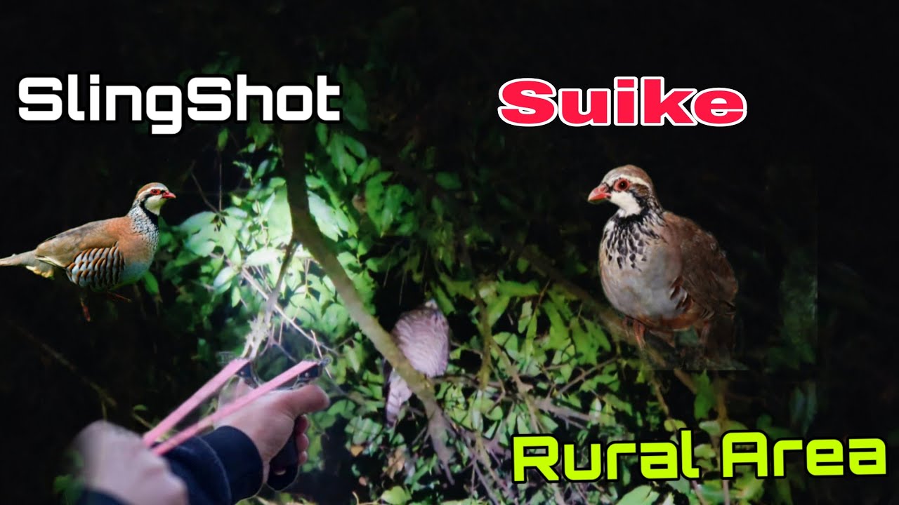 SlingShot Hunting Suike At Night | Eastern Nepal - YouTube