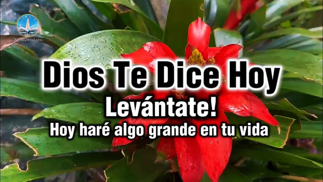 Dios te dice: ¡Levántate! Hoy haré algo grande en tu vida 🔥 - YouTube