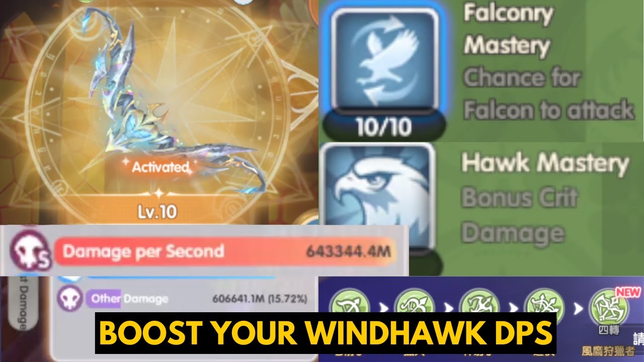 ULTIMATE GUIDE BOOST YOUR WINDHAWK DPS - YouTube