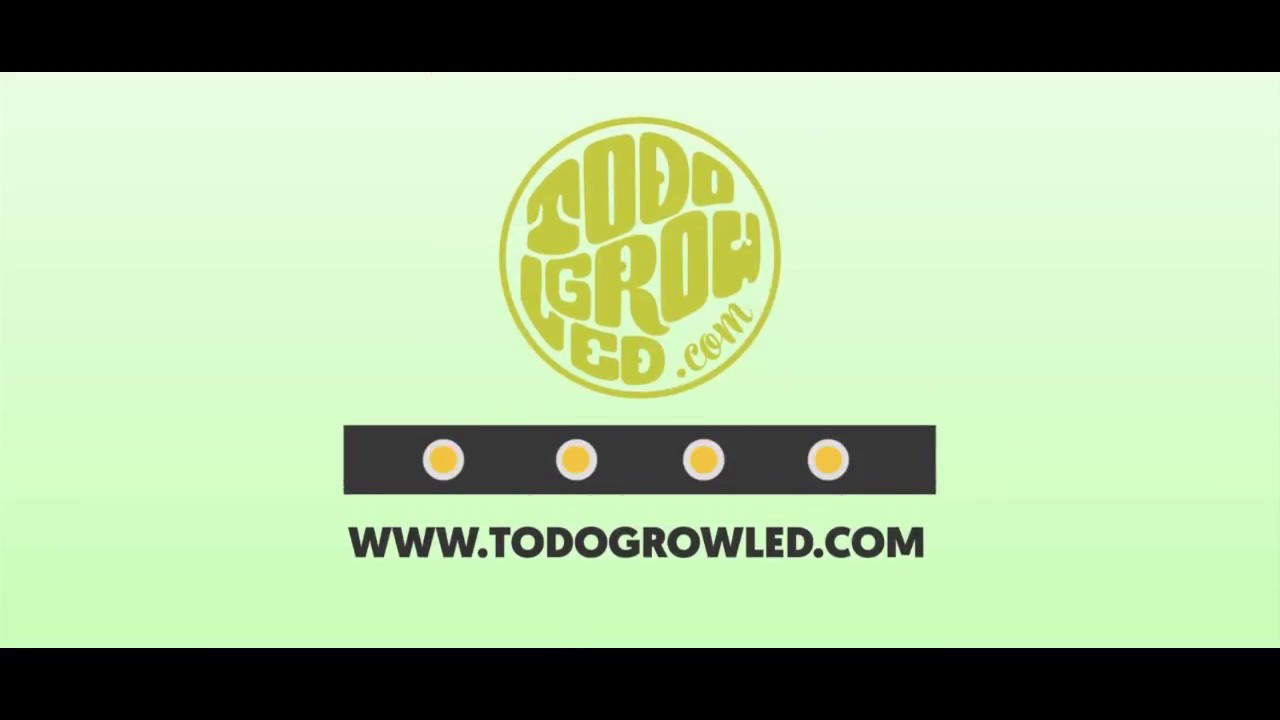 COMO AJUSTAR LOS DRIVERS // HOW TO ADJUST DRIVERS - YouTube