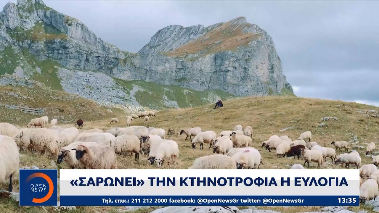 «Σαρώνει» την κτηνοτροφία η ευλογιά | Ethnos - YouTube