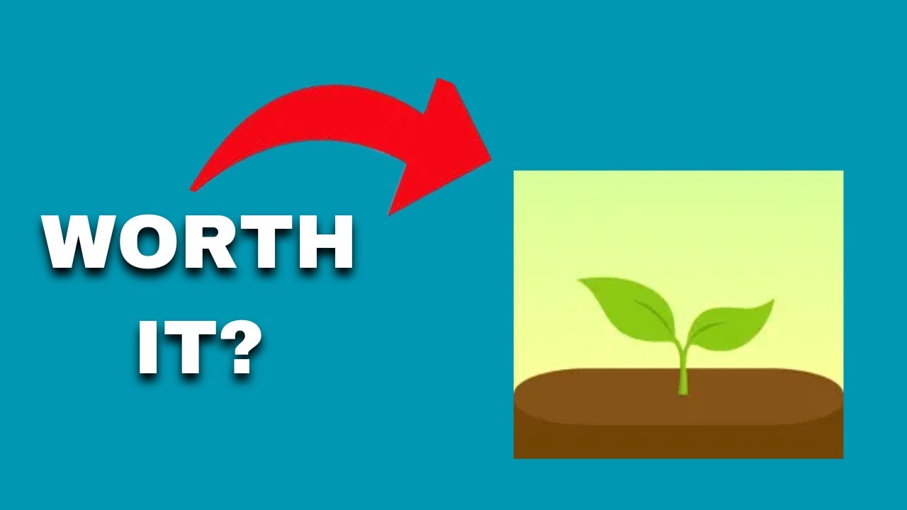 Forest: Focus for Productivity App Review - Is It Worth it? - YouTube