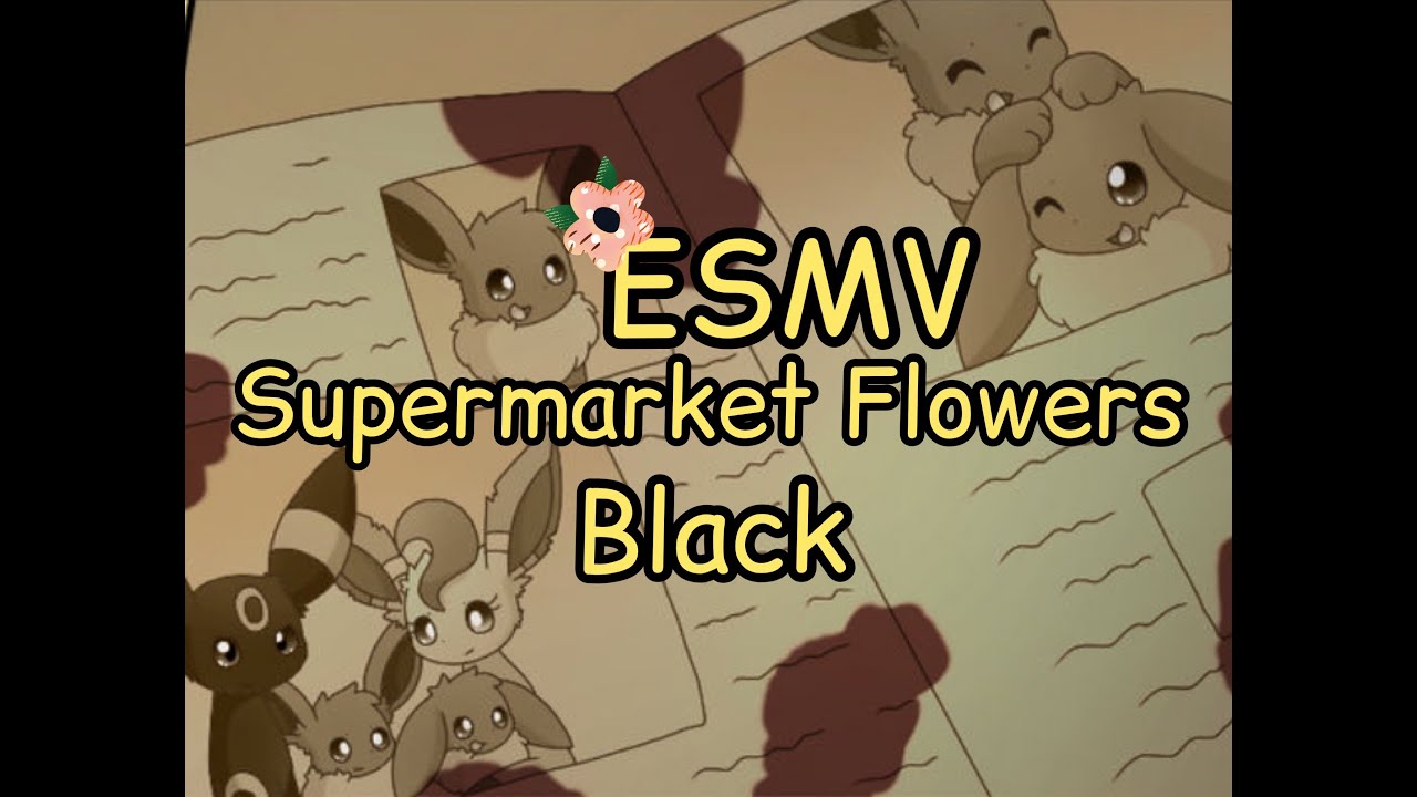 ESMV \ Supermarket Flowers / (Kid) Black - YouTube