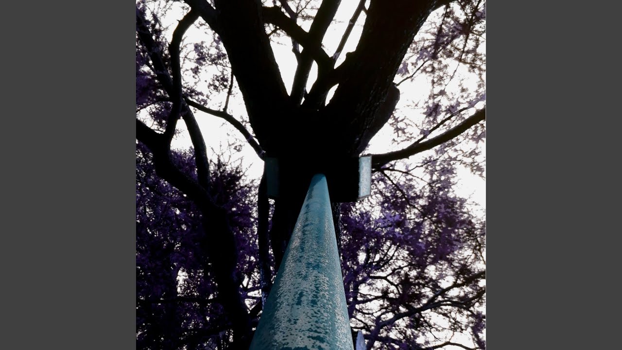 La Terza Via - YouTube