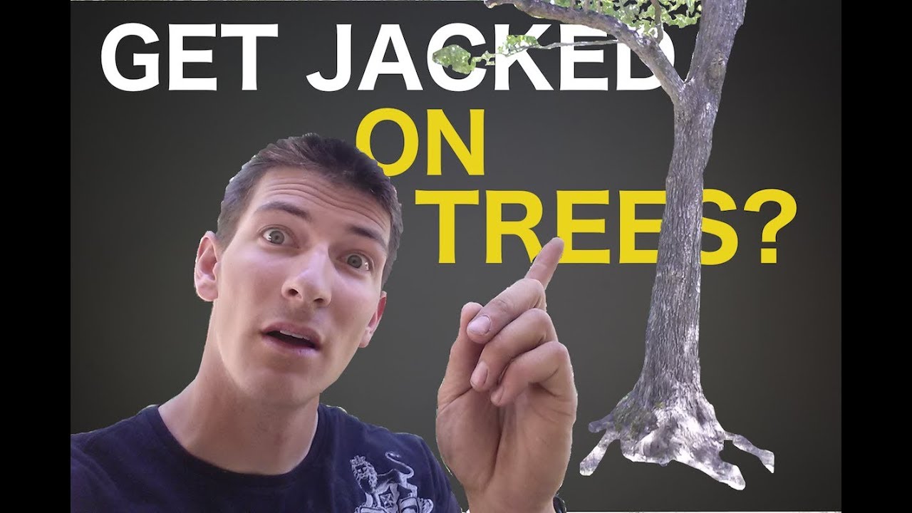 PULLUPS ON A TREE YouTube pullups-on-a-tree-youtube