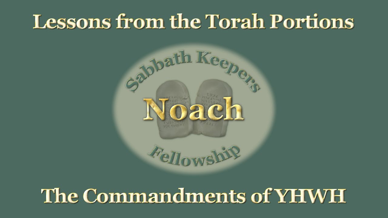 Commandments of Noach - Sabbath Keepers Fellowship - YouTube