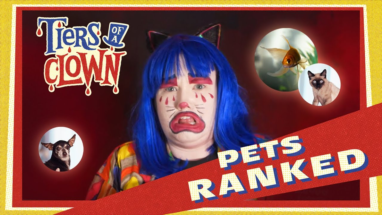 PETS w/ Alex Ptak /// Tiers Of A Clown - YouTube