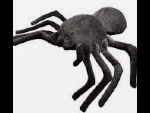 flamethrower vs spider queen (dont watch if you have a fear of spiders ...