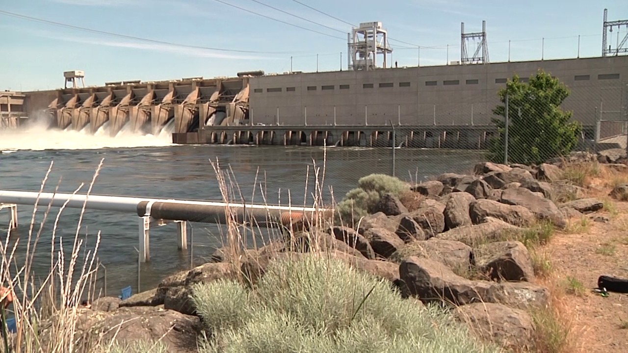 Columbia River System Operations EIS - YouTube