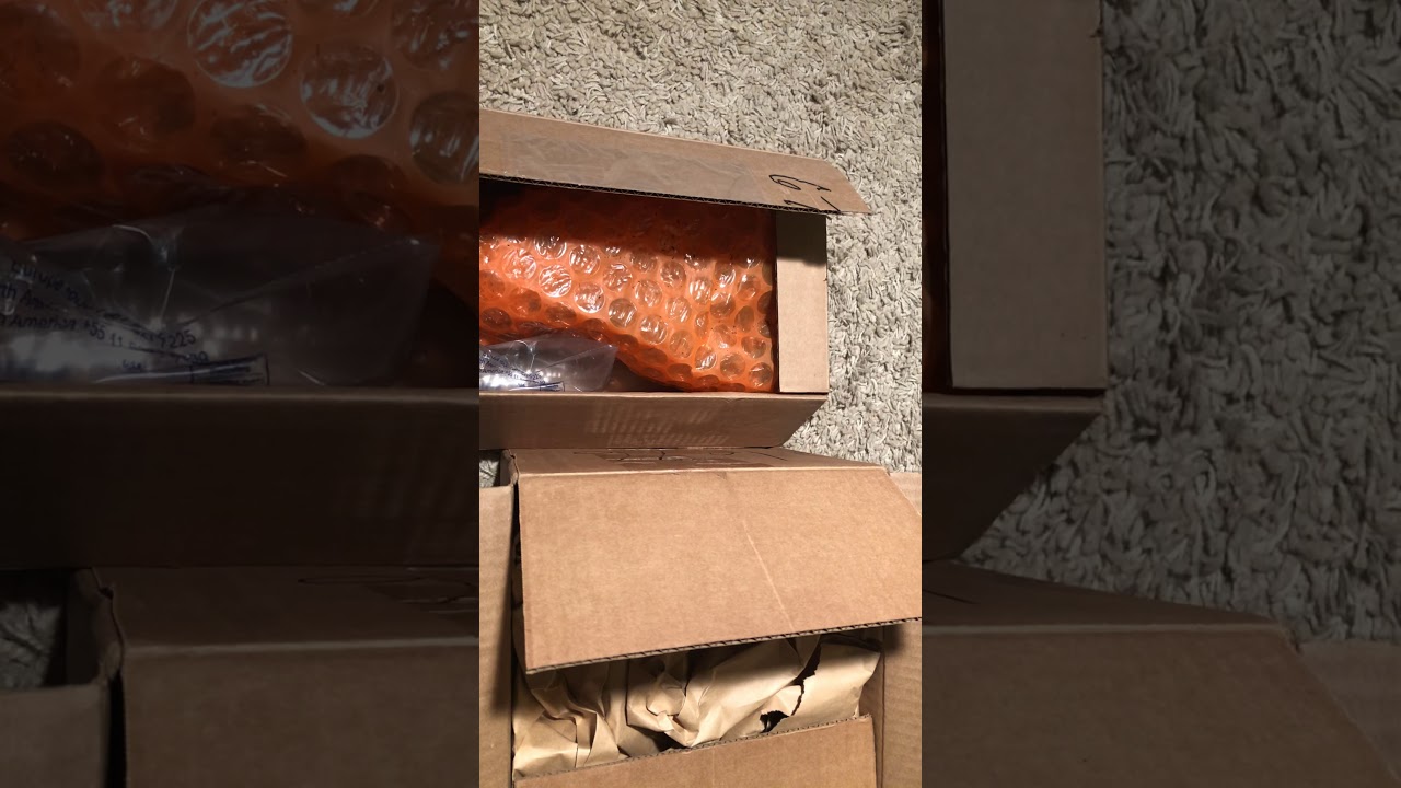 Unboxing plants | how plants are packed for shipping - YouTube