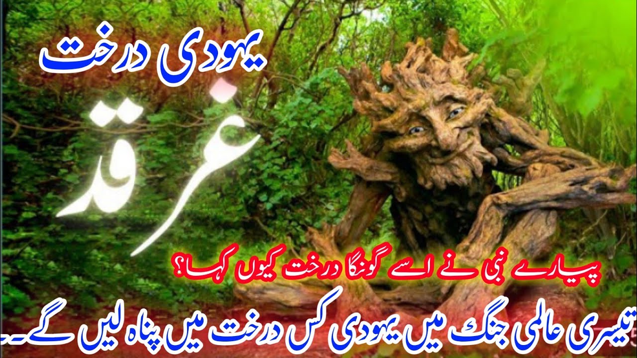 yahudiyon ka darakhat | Gharqad ka darakht | Tree of Jews | reality of ...