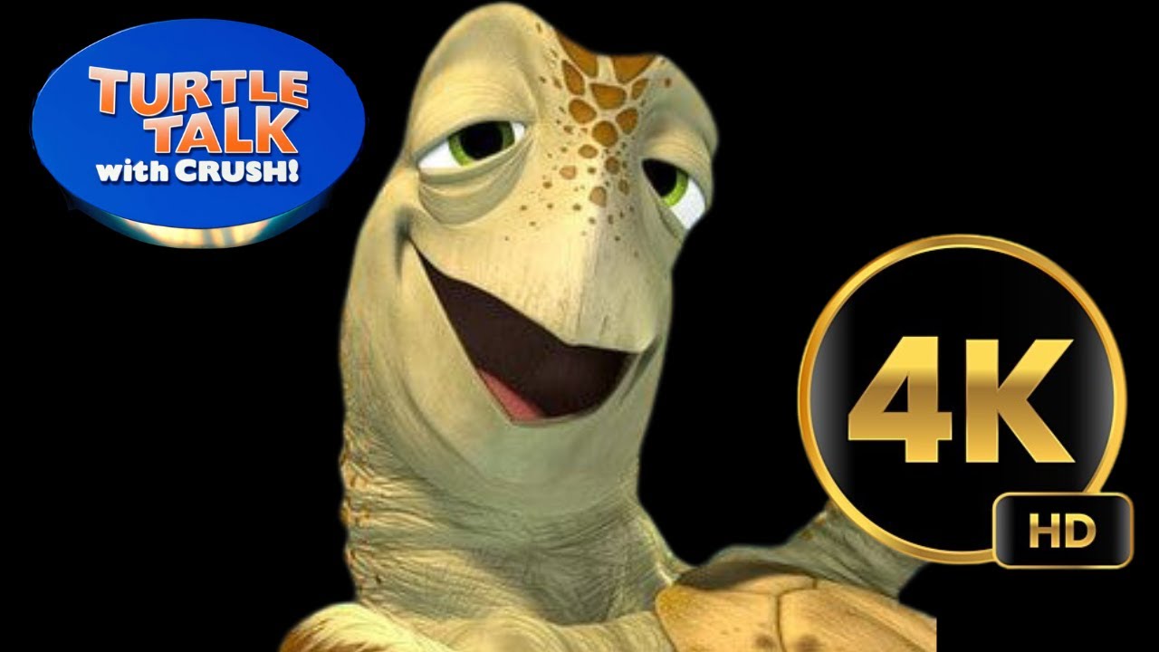 Turtle Talk With Crush 4K 60fps Full Show Attraction - YouTube