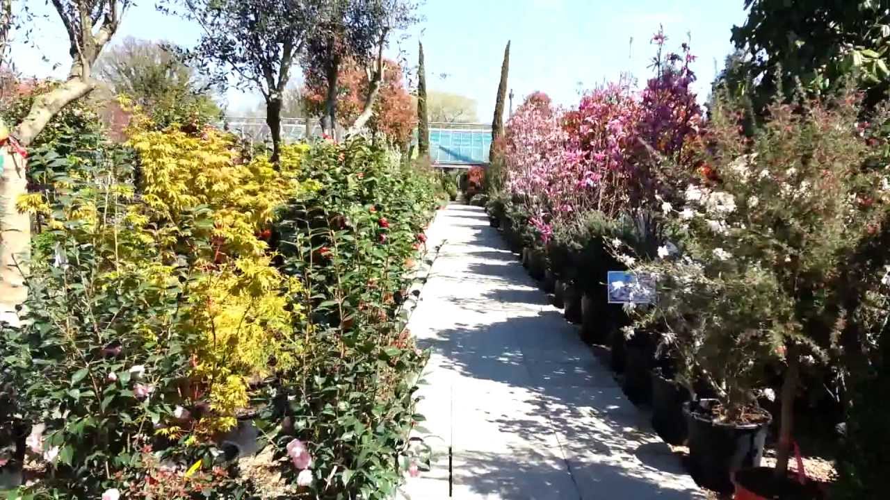 Paramount Plants and Gardens Spring MAY 2013 - YouTube