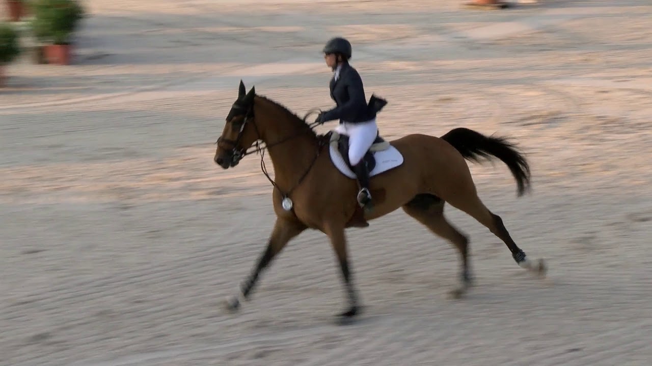 Fest der Pferde 2018 Prf03 Siegerrunde 04 478 Laura Hite Calypso V:D ...