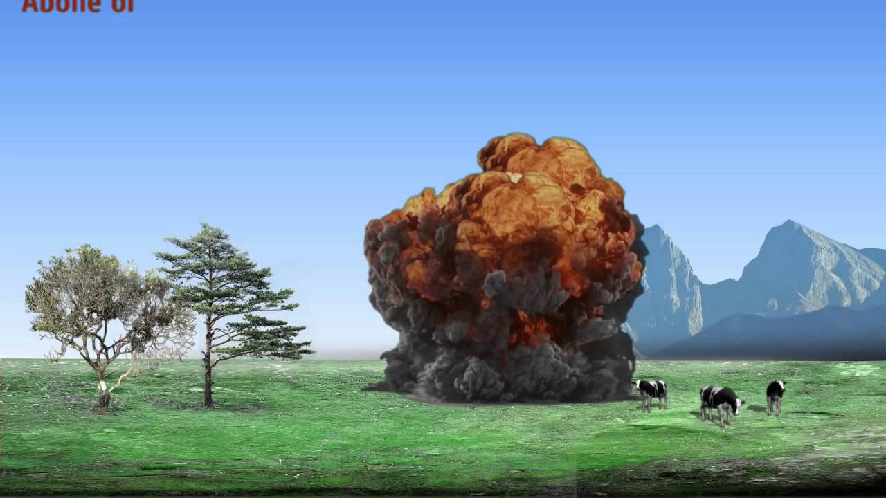 Spontaneous Cow Combustion - YouTube
