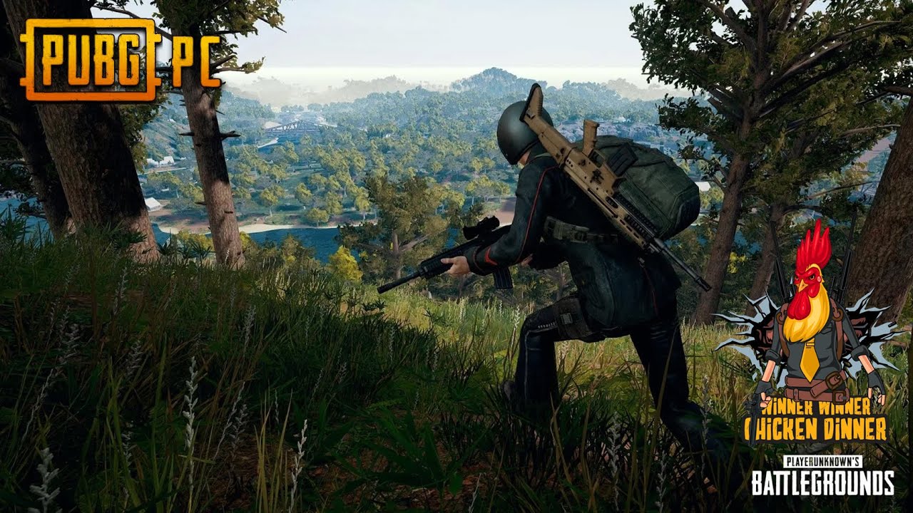 Player Unknown's Battlegrounds - PUBG - WINNER WINNER CHICKEN DINNER ...