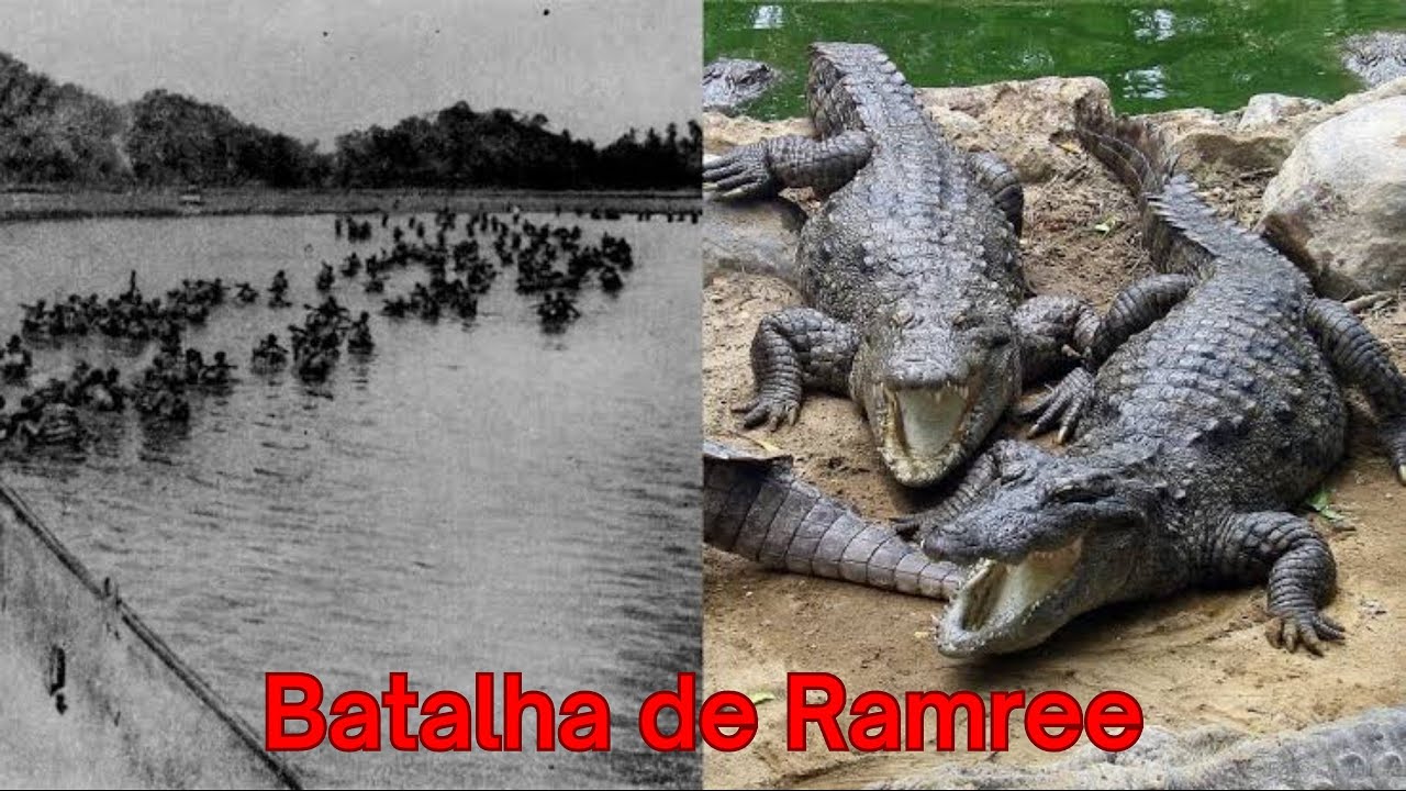 Batalha de Ramree: o Maior ataque de Crocodilos da História - YouTube