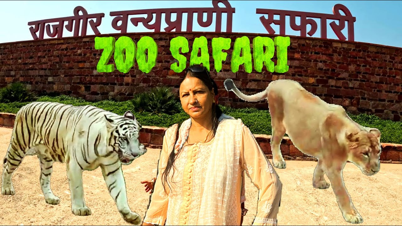 Exploring the Breathtaking Wildlife at Zoo Safari Rajgir, Bihar - YouTube