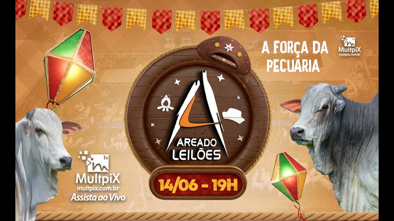 📌Leilão Presencial e Virtual AREADO LEILOES - Areado/MG - 🎥multpix.com ...