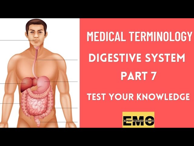 Medical Coding Coursedigestive System Questions And Answers Part 7 5250