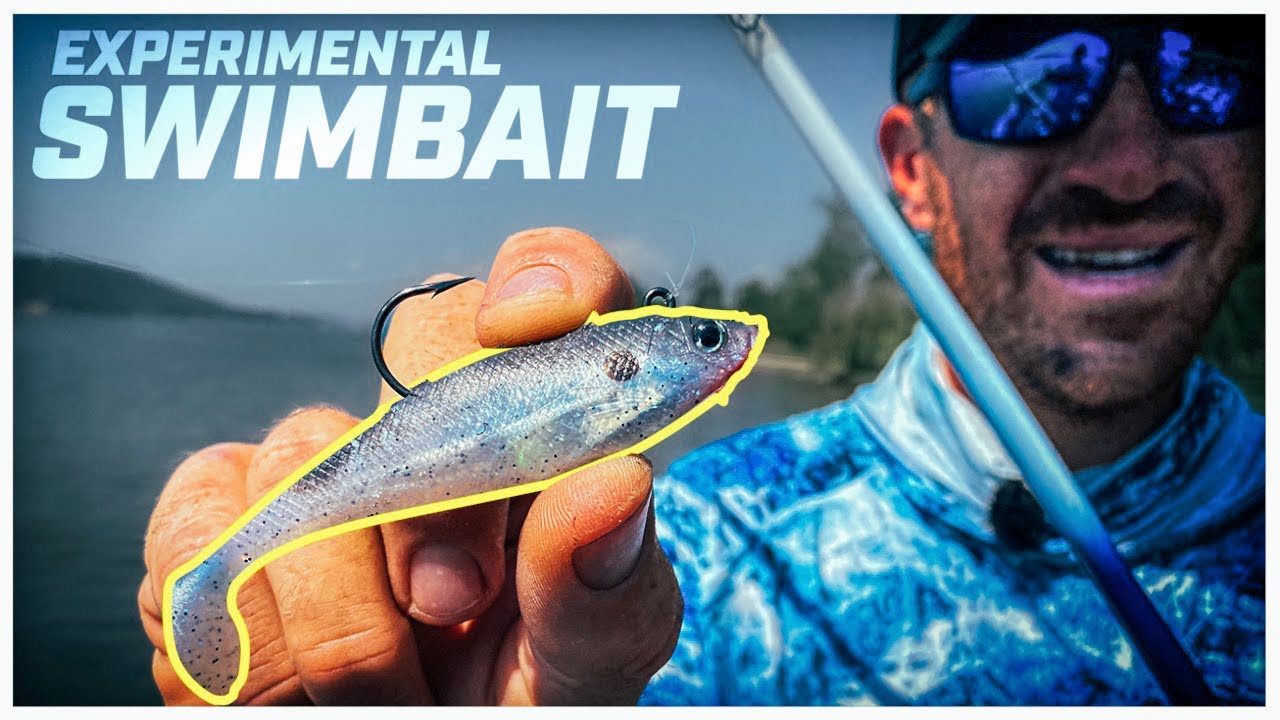 Overlooked Shad-Imitating Swimbait for Tough Bass - YouTube