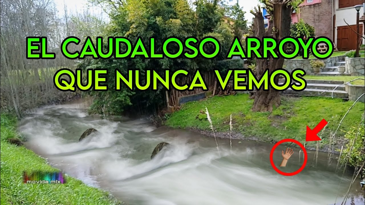 Un arroyo que arrastra todo a su paso! - YouTube