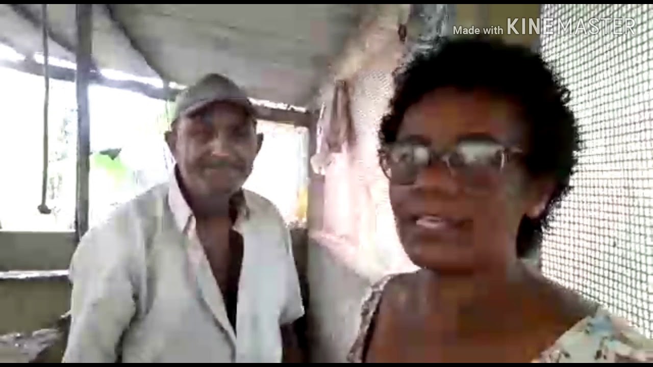 Vida na roça, como começa nosso dia - YouTube