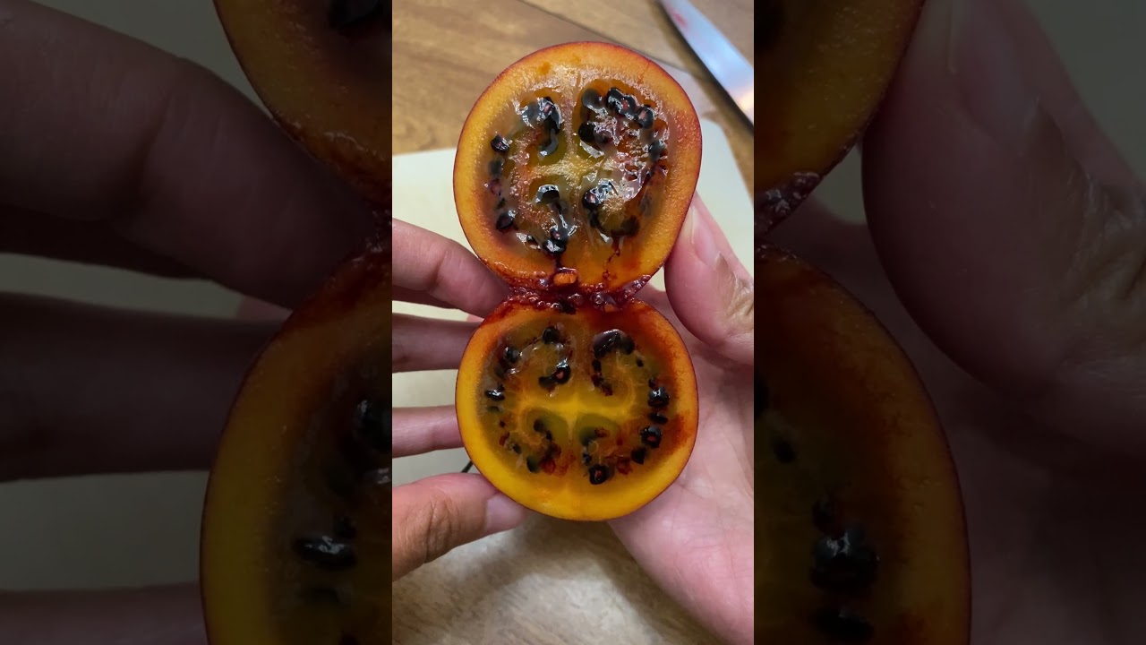 This fruit looks like it's bleeding - YouTube