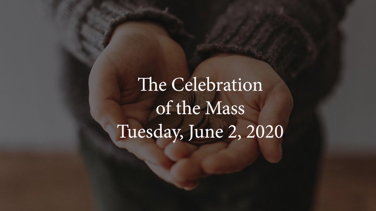St. Andrew Apostle Mass, Tuesday, June 2, 2020 with Father Dan Leary ...