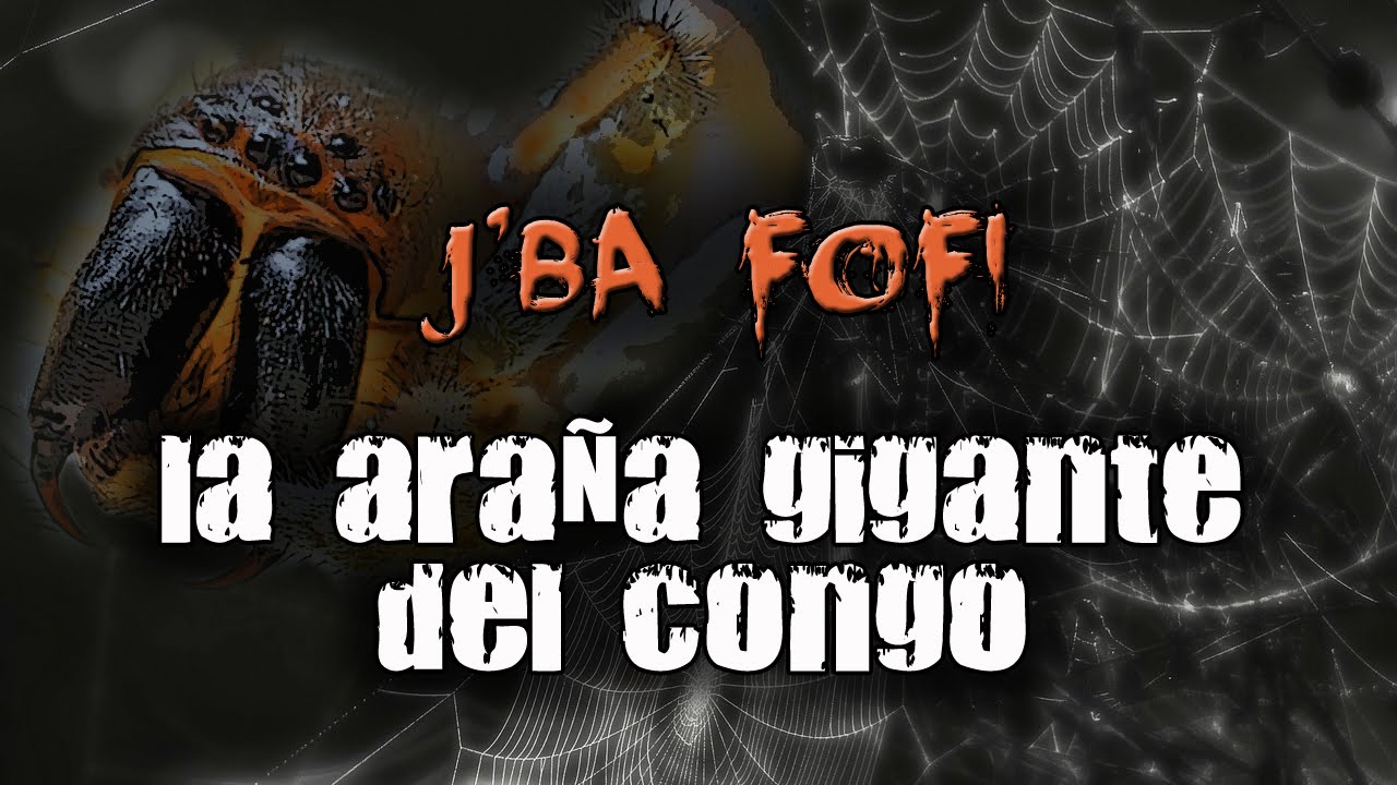 J'ba Fofi, La araña gigante del Congo - YouTube