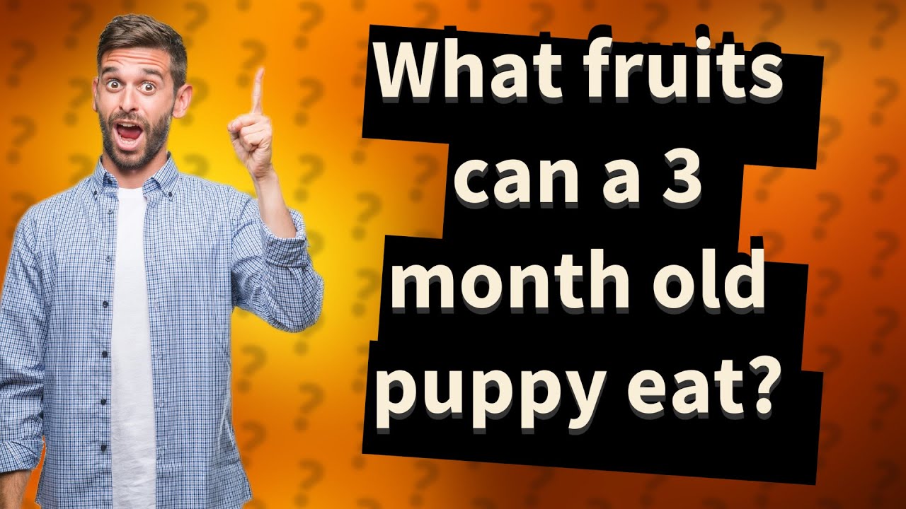 What Fruits Can A 3 Month Old Puppy Eat YouTube what-fruits-can-a-3-month-old-puppy-eat-youtube