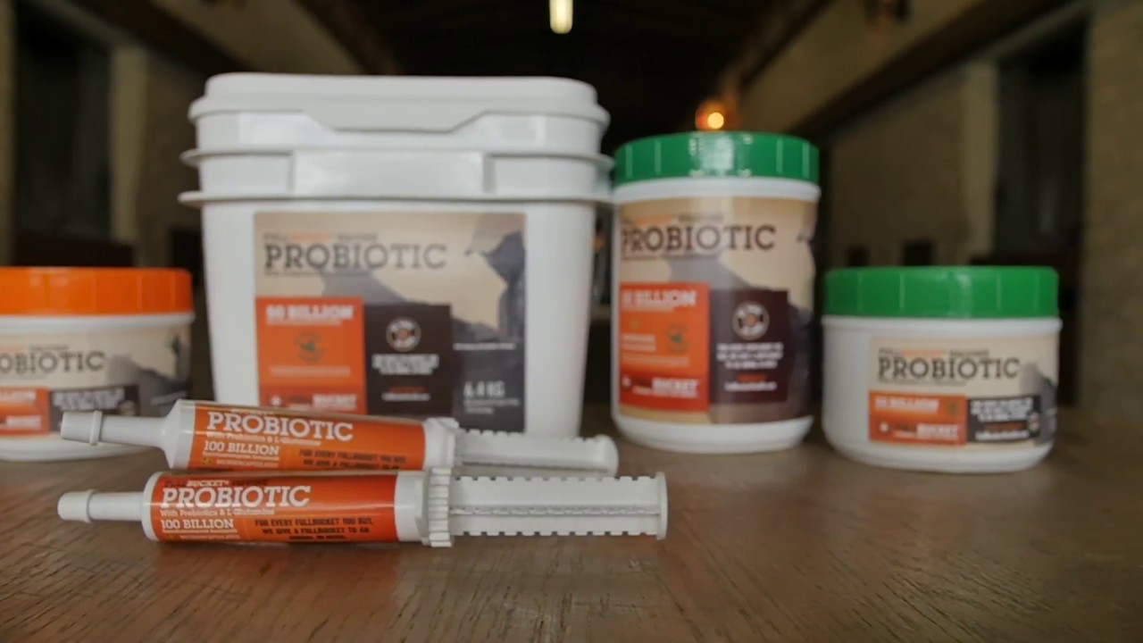 FullBucket Probiotic Paste - YouTube