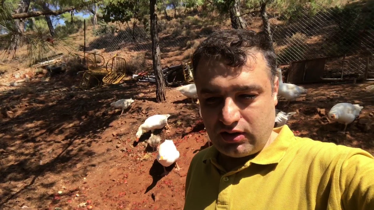 Enver Yalcin Yoruk Museum and Gocek Videos - YouTube