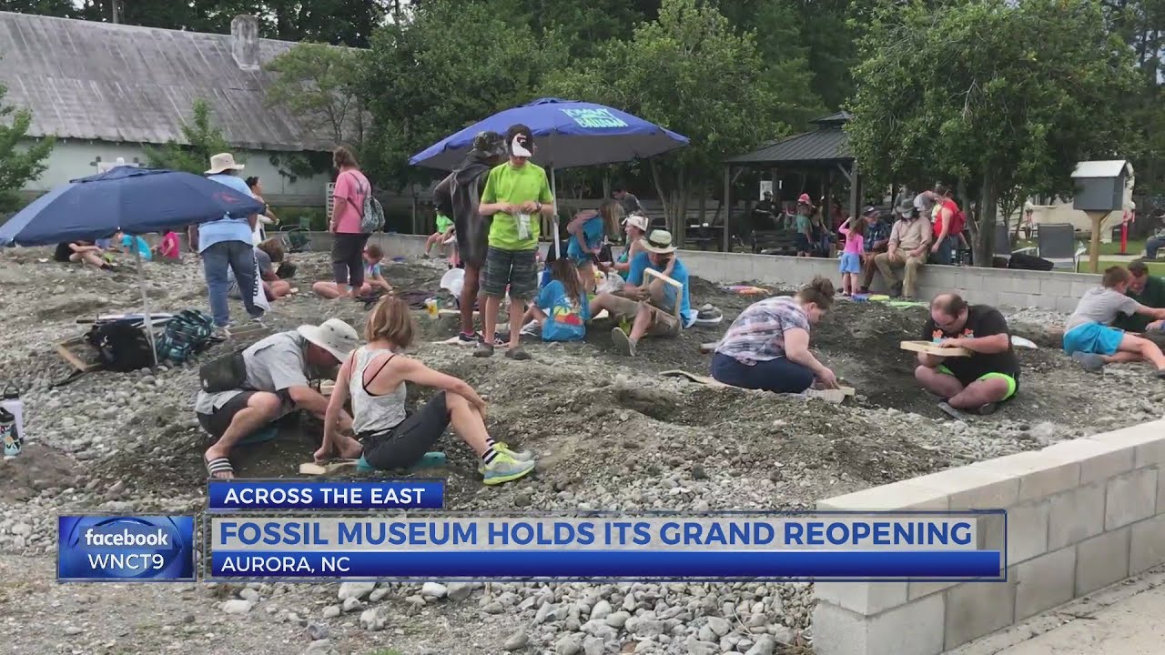 Aurora Fossil Museum celebrates ‘grand reopening,’ announces summer ...