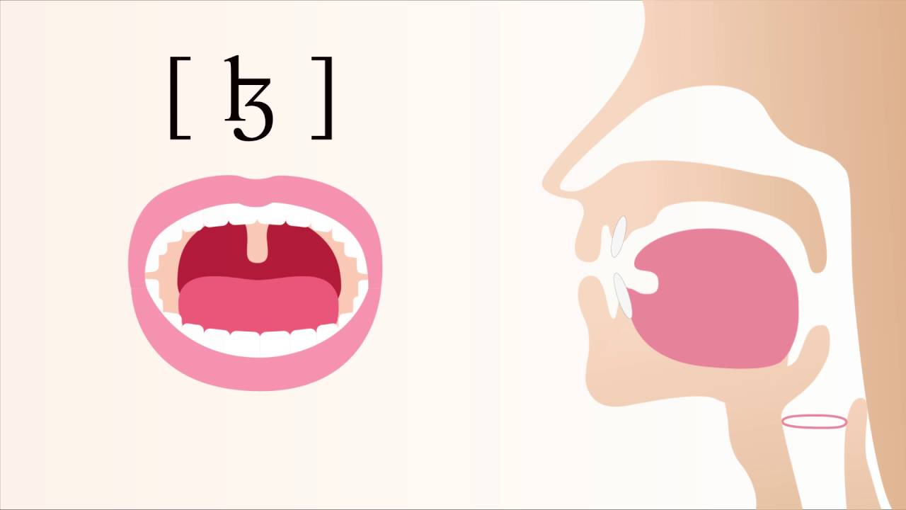 [ ɮ ] voiced apical alveolar lateral fricative - YouTube