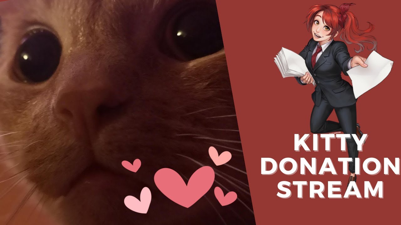 [Kitty Donation Stream] Playing cat games to raise money! - YouTube